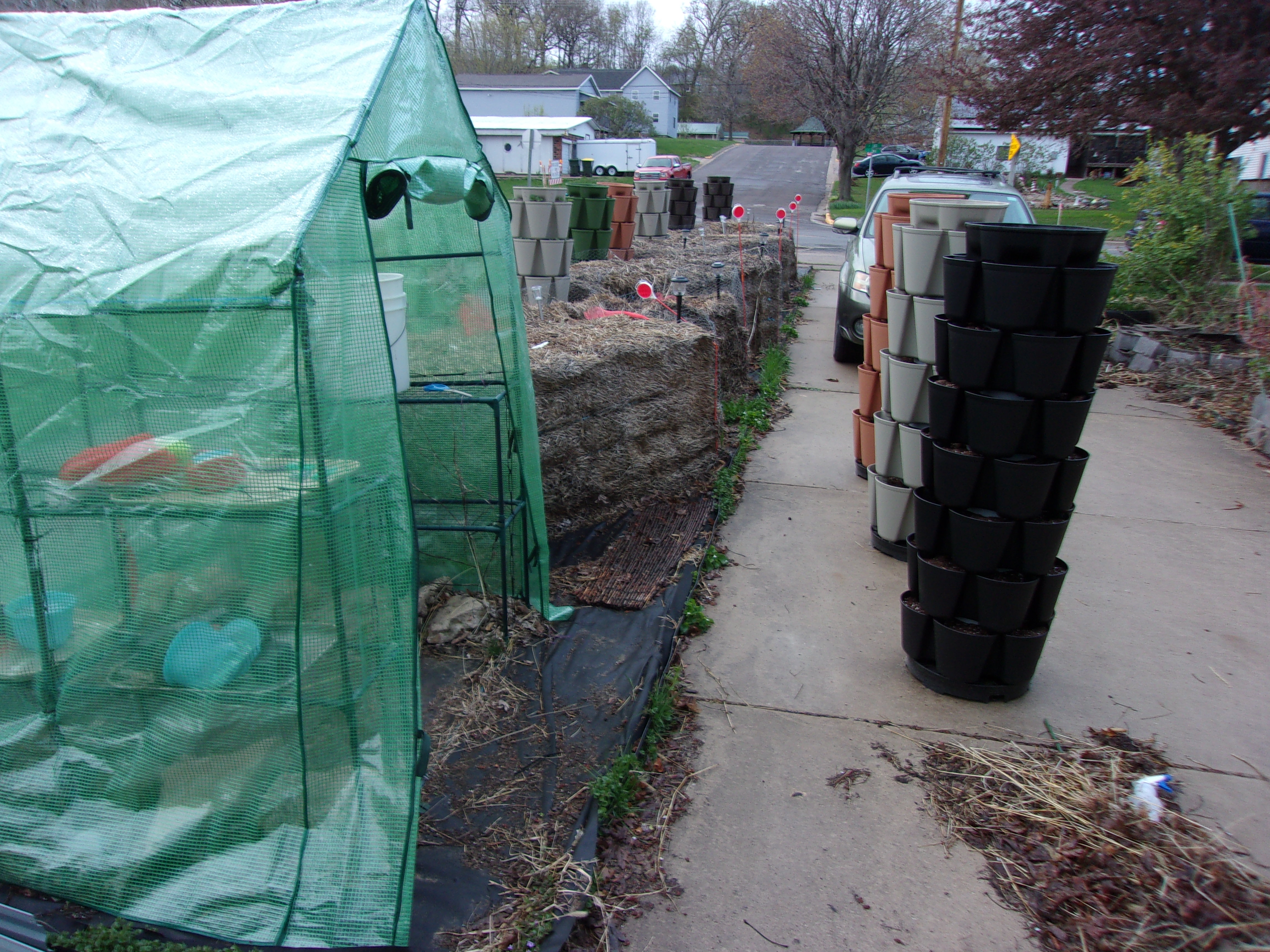 Garden Update
